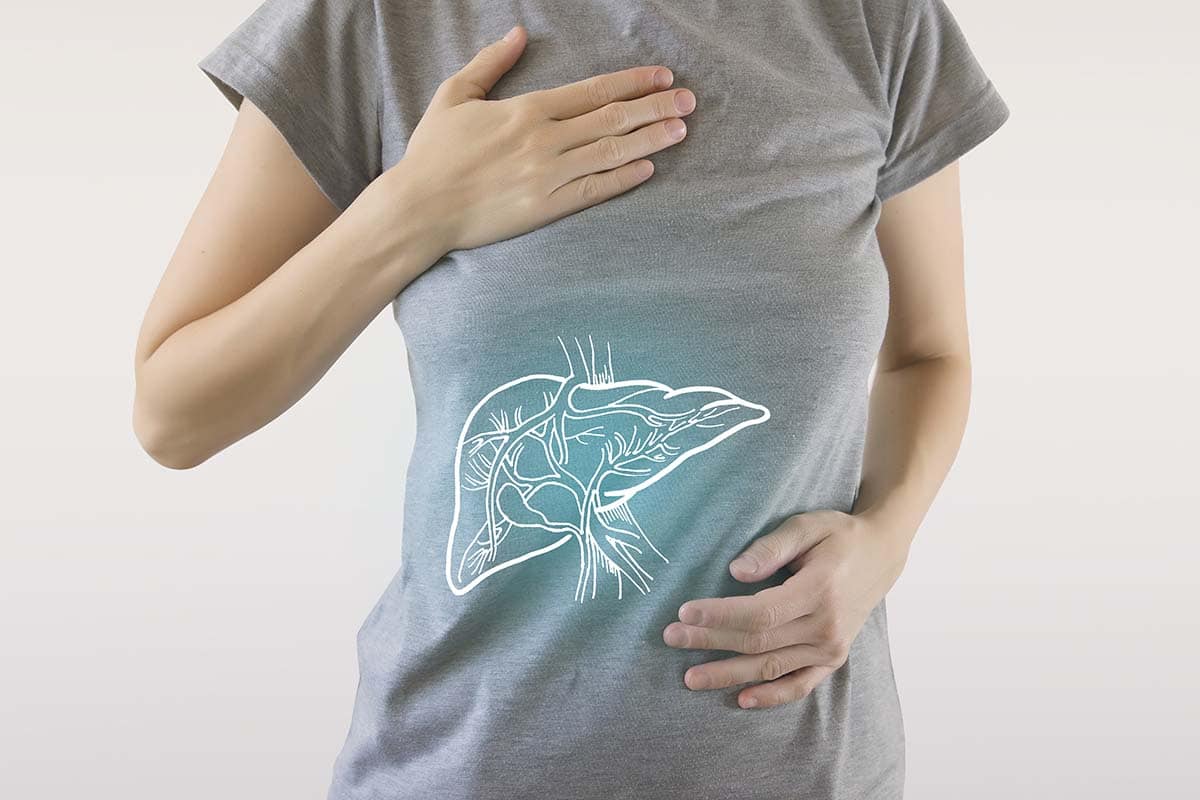 Leber: unser größtes und wichtigstes Stoffwechselorgan - Prescan ...